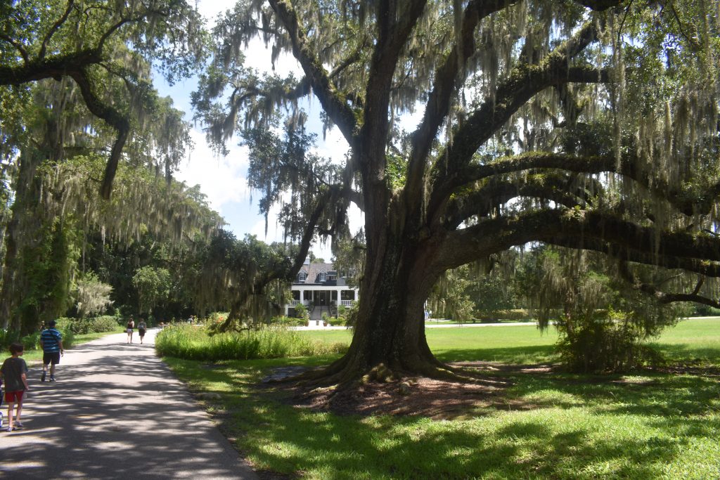 Magnolia Plantation is a Great Place to Explore with Your Family ...